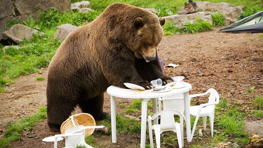 Le Dow Jones monte tandis que le Bitcoin baisse : que se passe-t-il ? | MotsActu - Actualités ...